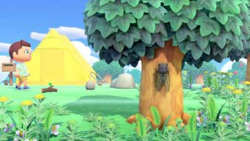 Animal Crossing New Horizons Wallpaper (FREE ACNH HD downloads ...