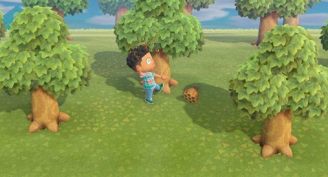 Animal Crossing New Horizons: How to Cure a Wasp Sting and Make ...