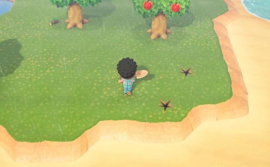 Animal Crossing New Horizons: Complete Fossil List and Guide - Outsider ...