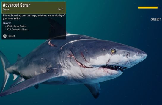 Shadow Set | Maneater Wiki | How to Unlock Shadow Set