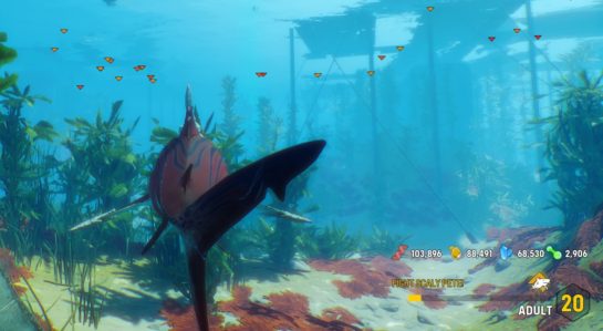 Maneater: Shark Levels List and How to Evolve Guide - Outsider Gaming