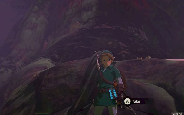 The Long Dragon Tears of the Kingdom: Complete Guide to Master the Quest 🐉