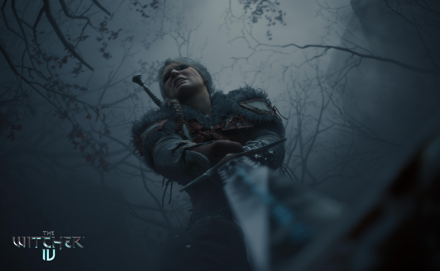 Why Was The Role of Ciri Recast for The Witcher 4 and How Did Fans ...