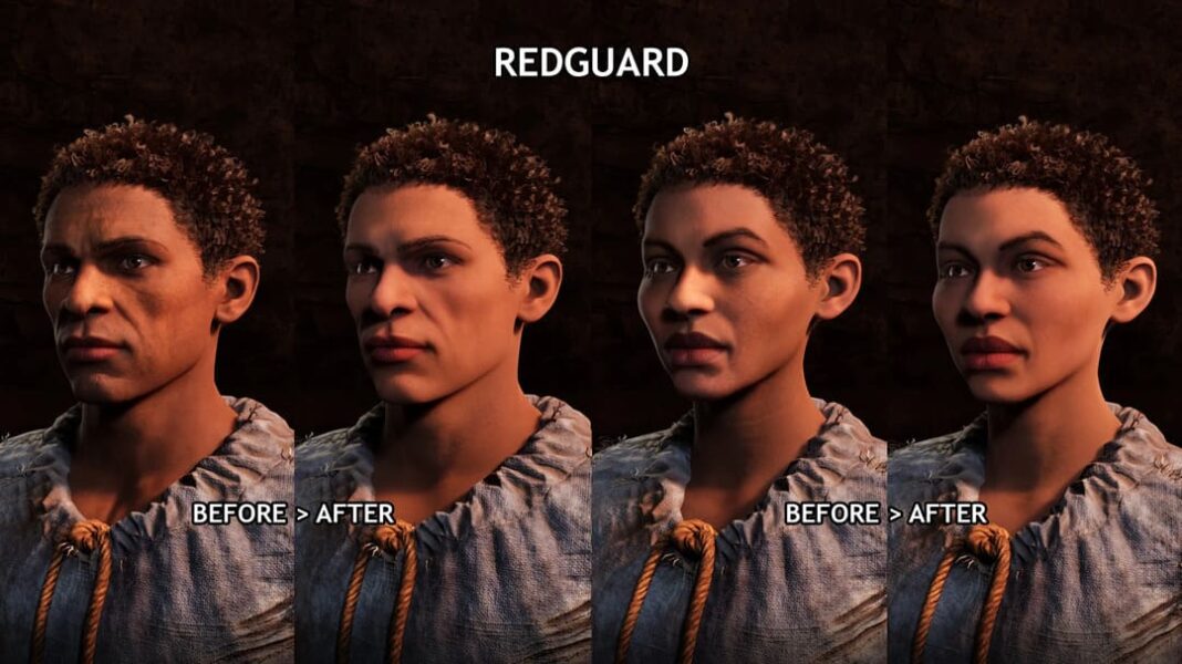 9 Essential Oblivion Remastered Mods That Improve Performance, Visuals ...